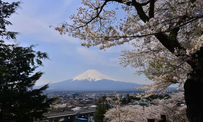 Desde Tokio: Monte Fuji Tour Privado Personalizado de Día Completo | GetYourGuide