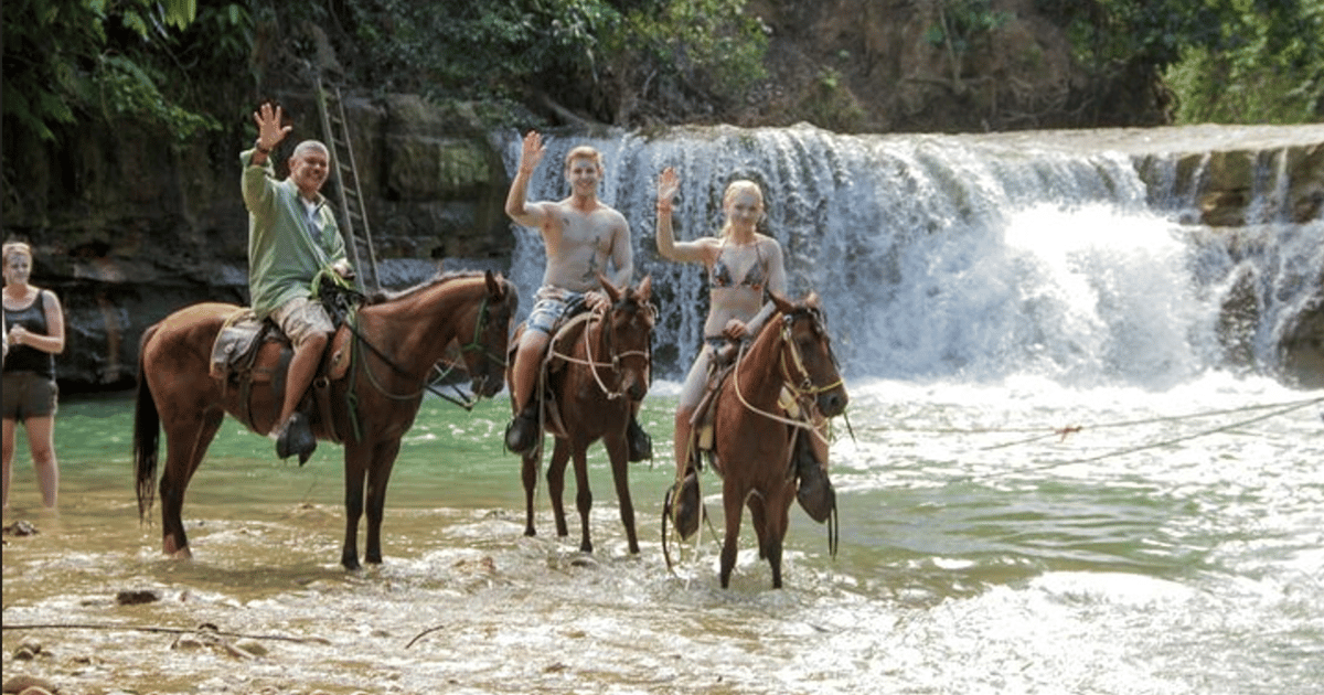 Private Los Haitises + Yanigua Waterfall + Montaña Redonda | GetYourGuide