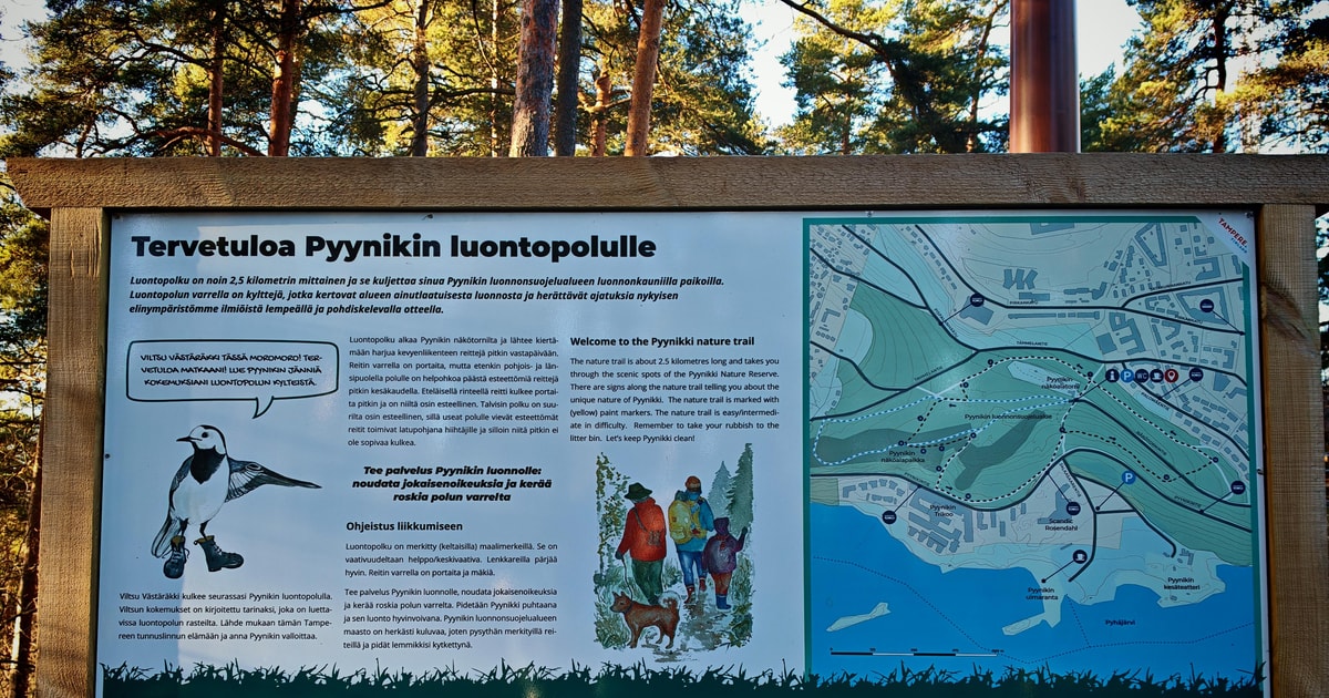 Tampere: Pyynikki Ridge Nature Walk with Doughnut & Drink | GetYourGuide