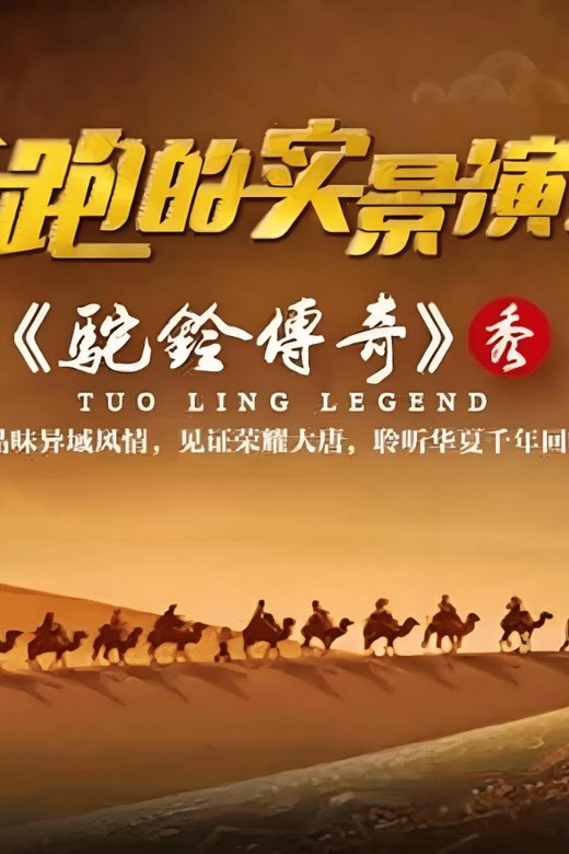 Xian: Must see Eternal Love or Camel Bell Legend show Ticket | GetYourGuide