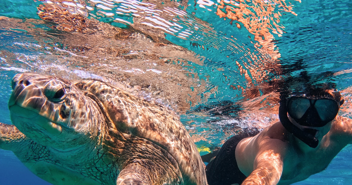 Tulum ruins, snorkel at the reef, and cenote | GetYourGuide
