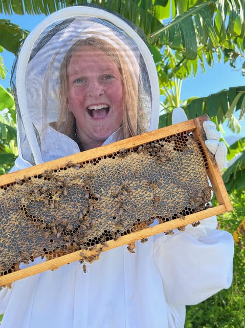 Bee Farm Tour & Honey Tasting | GetYourGuide
