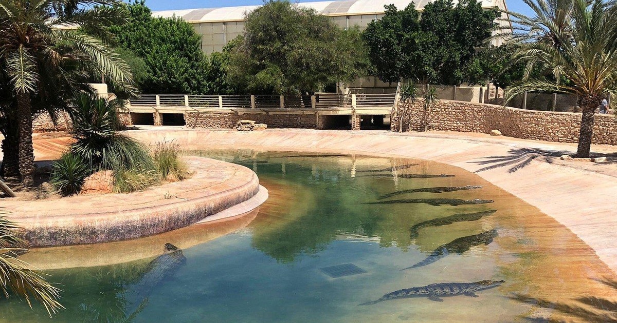 Djerba: Djerba Explore and Crocodiles Park | GetYourGuide