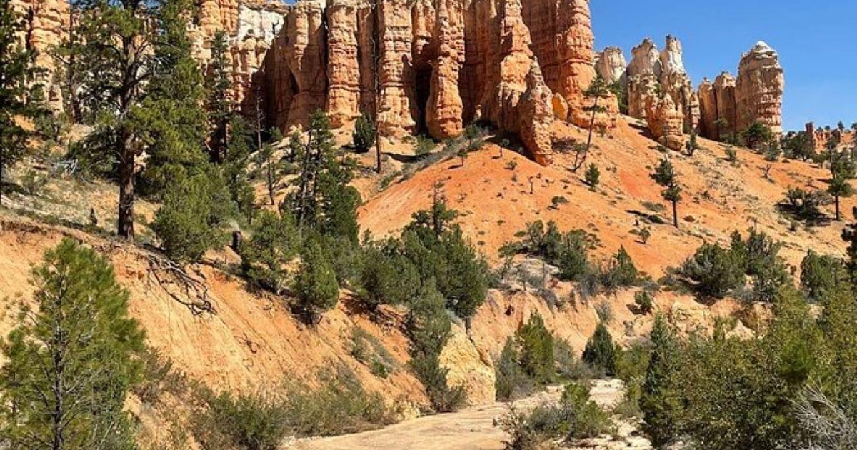 Las Vegas'tan: Zion Ulusal Parkı'na Özel Tur | GetYourGuide