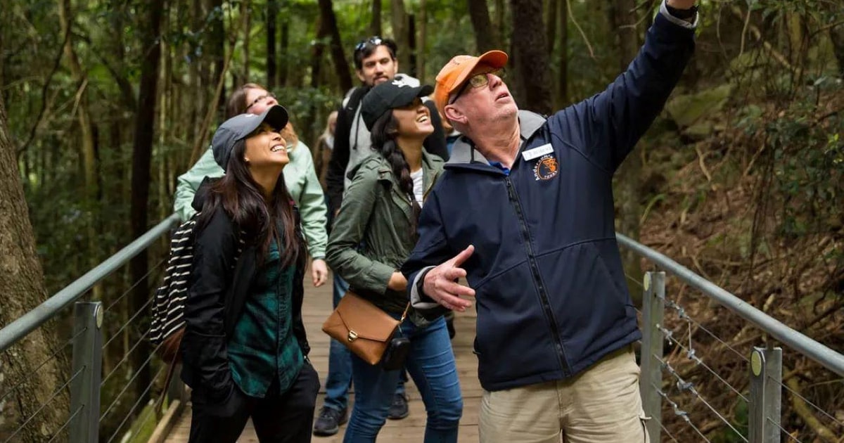 Blue Mountain Small Group Scenic World, Wildlife, Waterfall | GetYourGuide