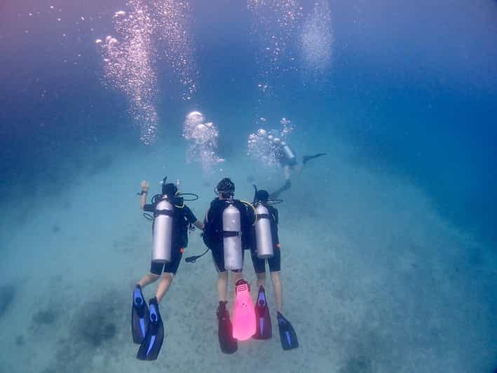 Muscat - Experience an Unforgettable 2-Tank Dive Adventure | GetYourGuide