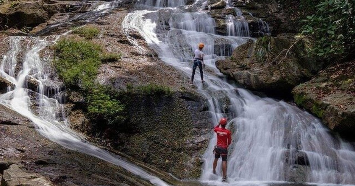 Belize: Jungle Canopy Zipline & Waterfall Rappelling | GetYourGuide