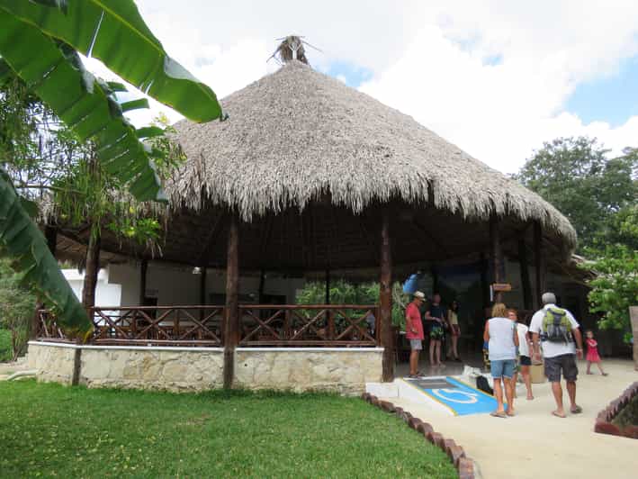 Tulum: Sian Ka'an Biosphere Reserve Kayak Tour | GetYourGuide