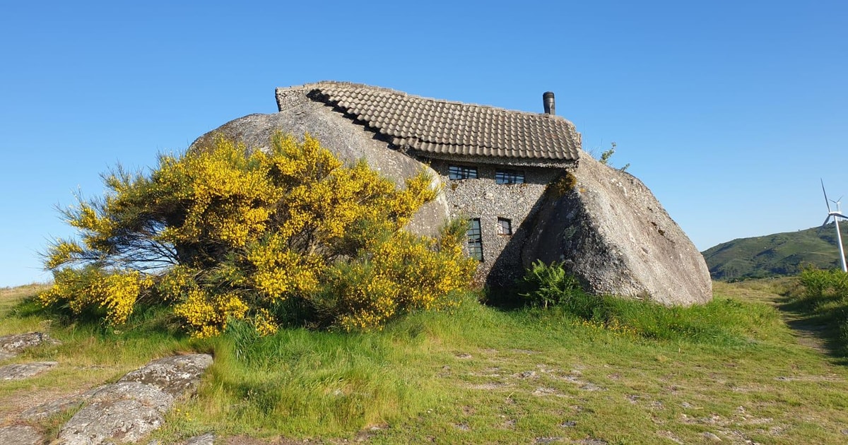 From Porto: Nature and Wine tasting Full-Day Tour | GetYourGuide