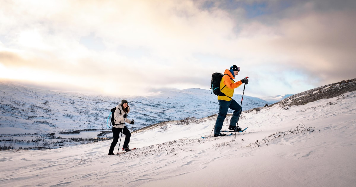 Hardangerfjord: Exclusive snowshoe hike with majestic views | GetYourGuide