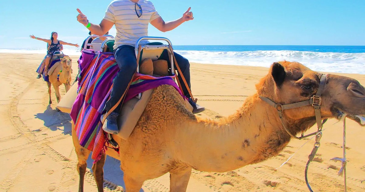 Day trip to Asilah & Cap spartel | GetYourGuide