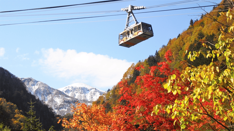 Hokkaido: Kurodake Ropeway, Asahiyama Zoo Autumn Leaves Tour | GetYourGuide