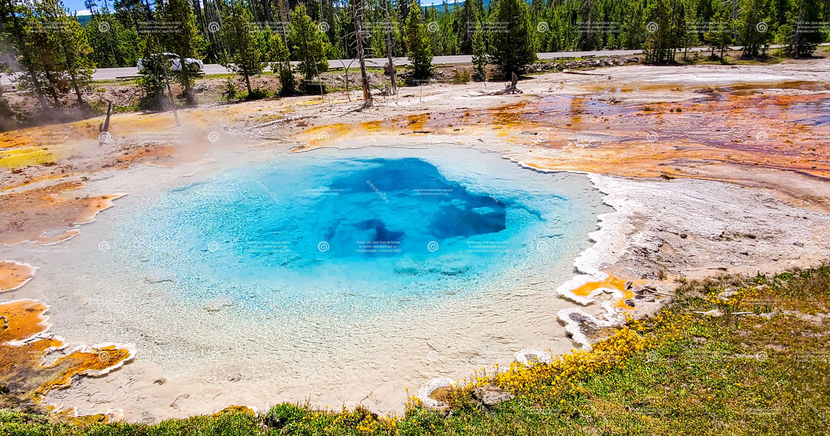 De Bozeman: Tour exclusivo para Yellowstone (2 dias e 1 noite ...