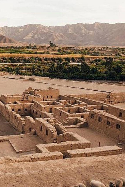 From Ica: Paracas Tour to Tambo Colorado | GetYourGuide