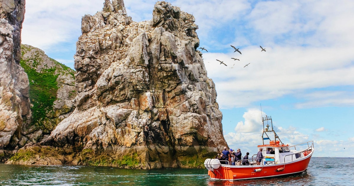 Dublin: Howth Coastal Boat Tour | GetYourGuide