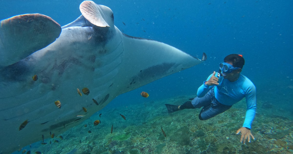 From Bali: Manta Rays Snorkeling with Lembongan Land Tour | GetYourGuide