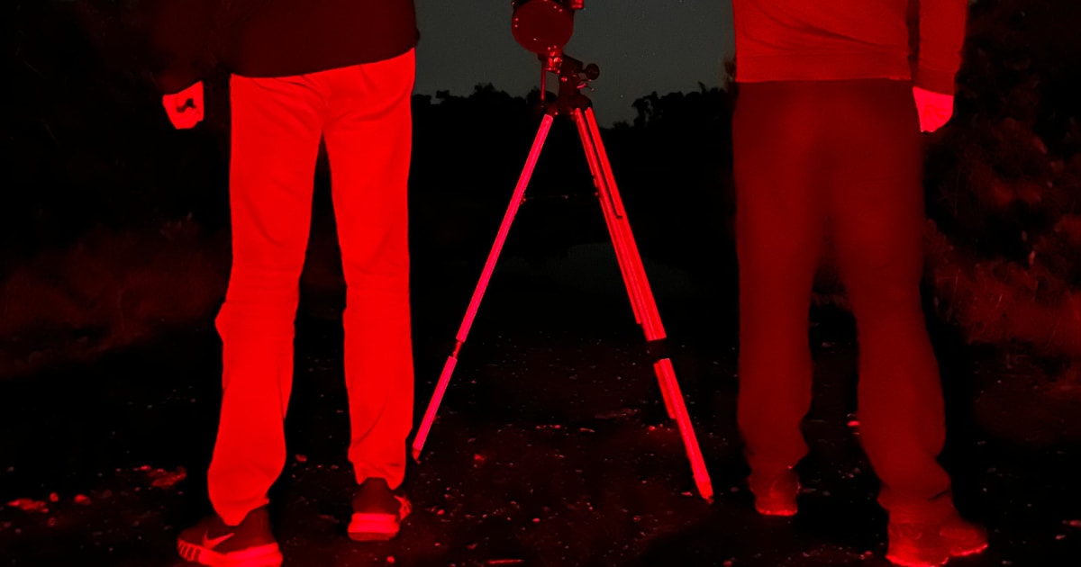 Mayan Cosmovision and Nightlife: Rio Lizards Night Tour Crocodiles ...