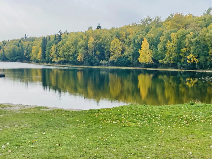 Beautiful nature around Anchorage Waterfall, Lake, Mountains | GetYourGuide