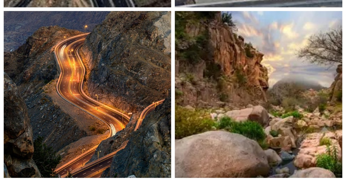 Taif tour from Jeddah - private car by local guide. | GetYourGuide