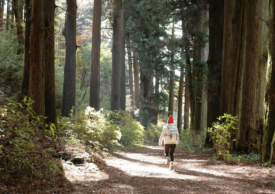 Hakone Hachiri: Excursión por la antigua carretera de Tokaido ...