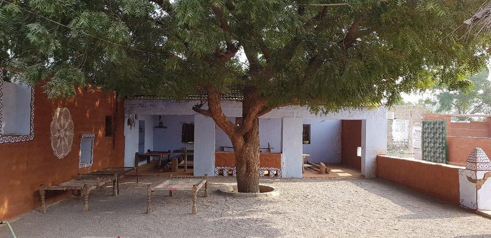 An Unforgettable Camel and Jeep Safari in Osian Villlage | GetYourGuide