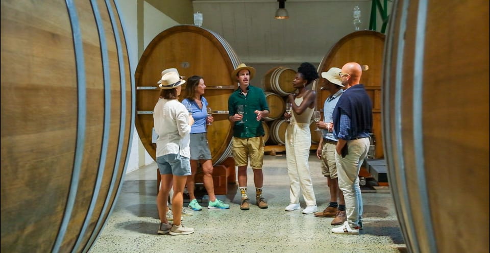 Constantia Wine Walk | GetYourGuide