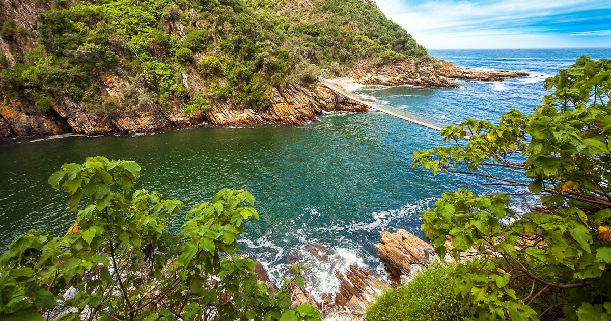 Tsitsikamma : excursion privée avec tyrolienne et visite de l ...