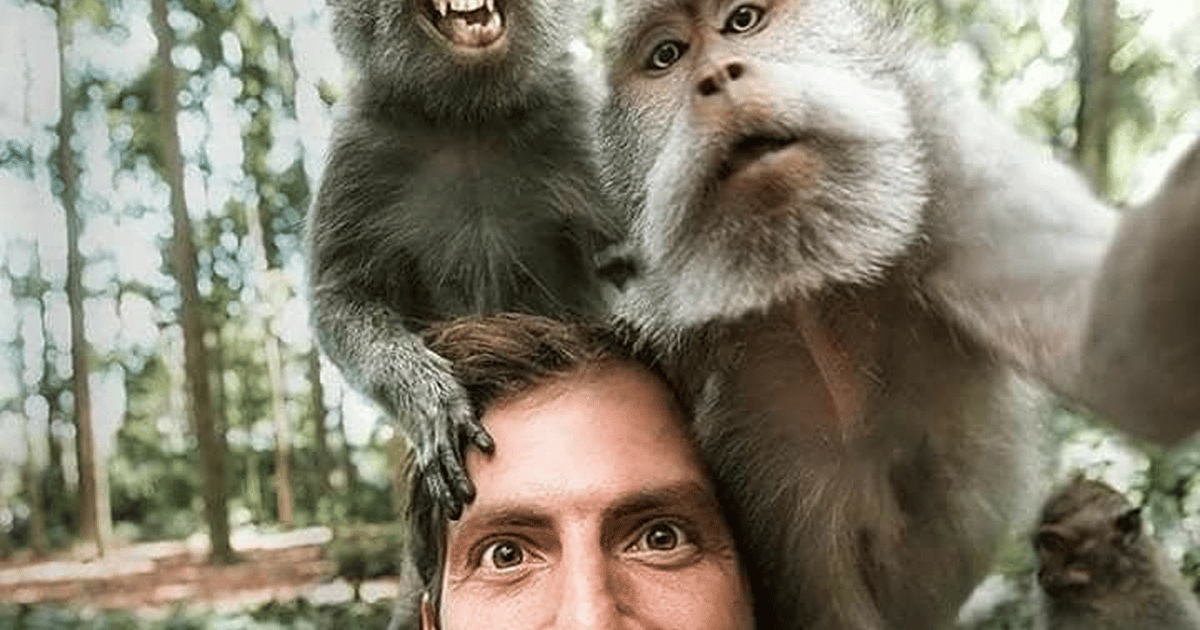 Ubud: Hoogtepunten Natuur, Schommel & Waterval | GetYourGuide