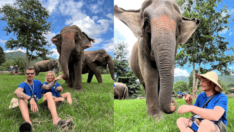 Chiang Mai: Half Day Elephant Care Program | GetYourGuide
