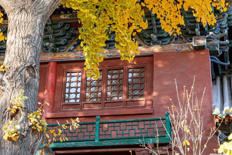 Beijing’s Hidden Delights: Dong Si Hutong Food Tour | GetYourGuide