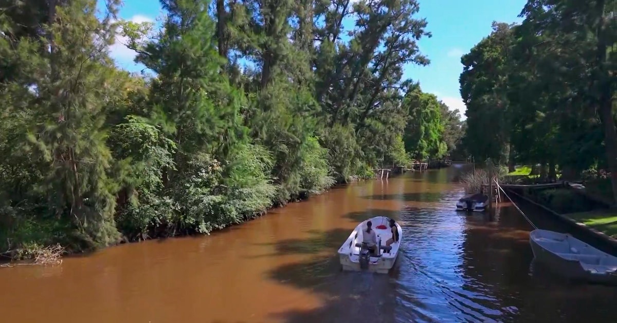 Tigre: Safari Náutico en Tigre/ Biosphere Reserve Boat Tour | GetYourGuide
