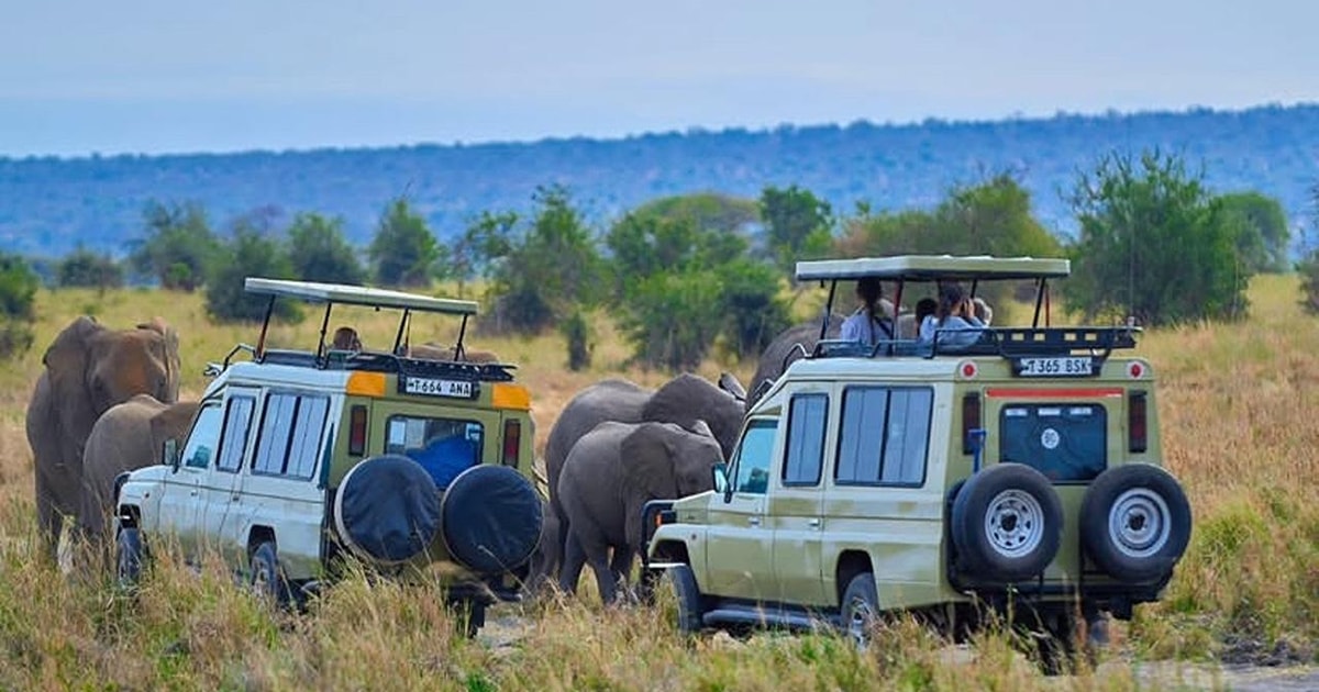From Moshi/Arusha: Tarangire National Park Day Trip | GetYourGuide