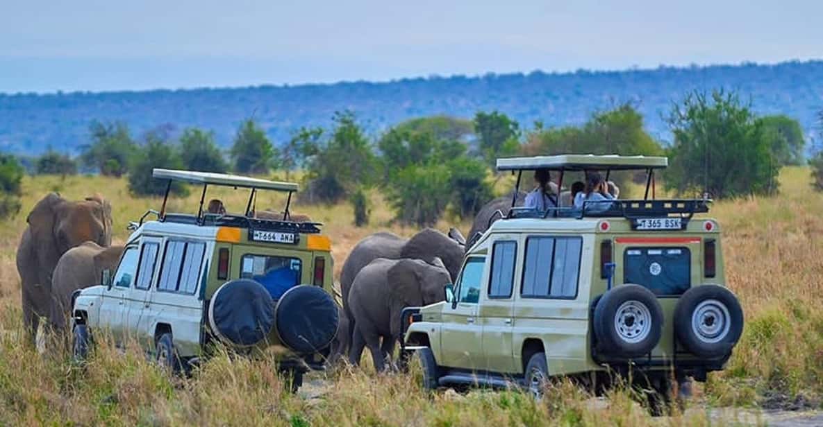 From Moshi/Arusha: Tarangire National Park Day Trip | GetYourGuide