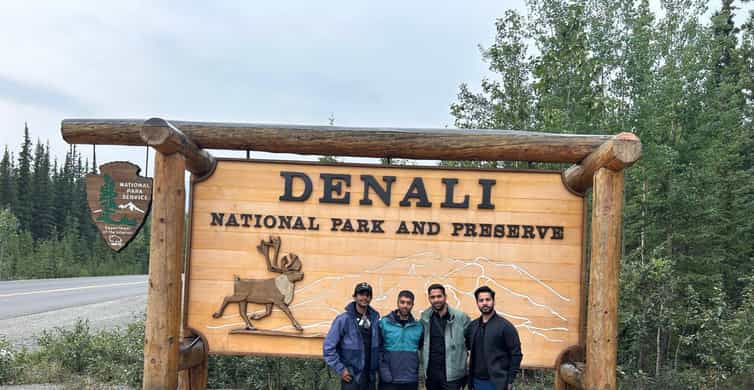 Denali-In-A-Day Sightseeing Tour | GetYourGuide