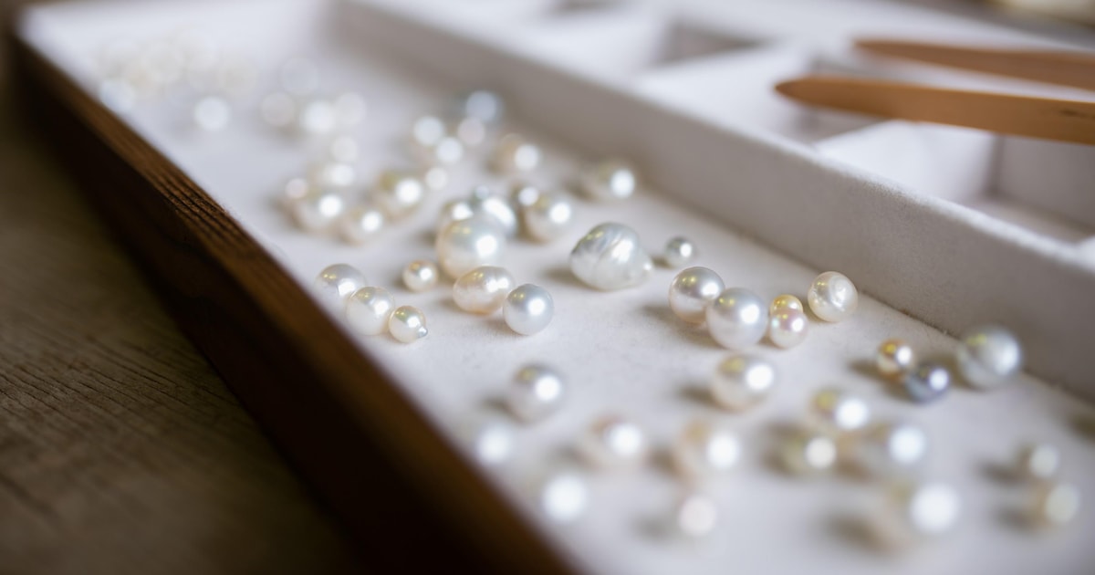 Clasificación de perlas en Broken Bay | GetYourGuide