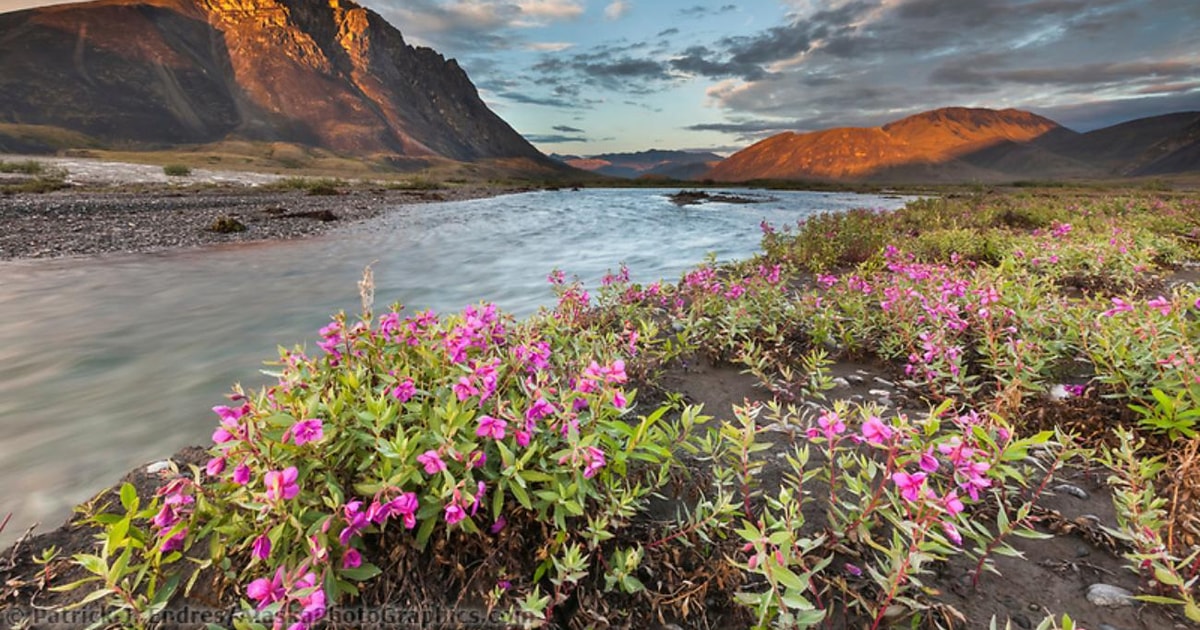 From Anchorage: 6-Day Best of Grand Alaska Tour for Ages 50+ | GetYourGuide