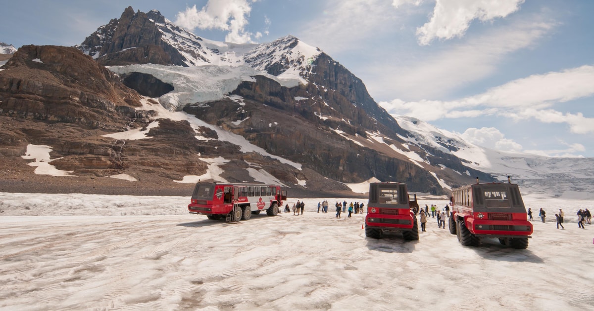 Calgary/Banff: Icefields Parkway & Columbia Icefield Tour | GetYourGuide