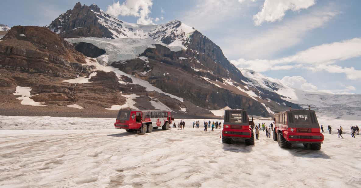 Calgary/Banff: Icefields Parkway & Columbia Icefield Tour | GetYourGuide