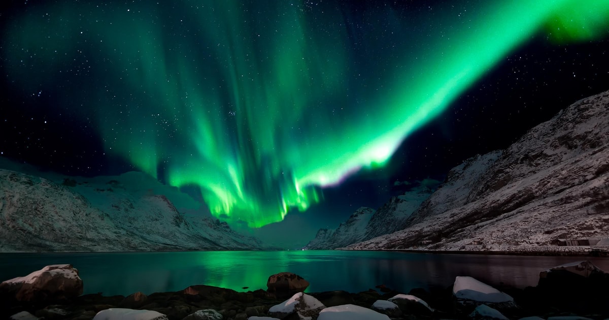 Tromsø: Northern Lights Tour with Local Guide and Photos | GetYourGuide