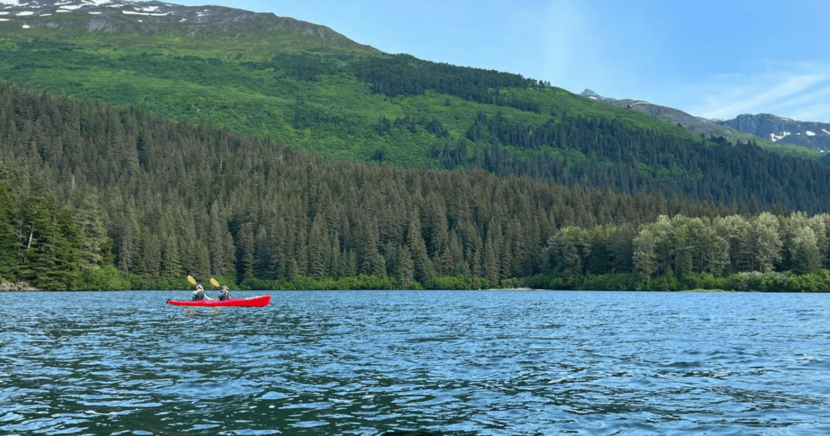 Seward: Family-Friendly Bear Lake Kayak Tour | GetYourGuide