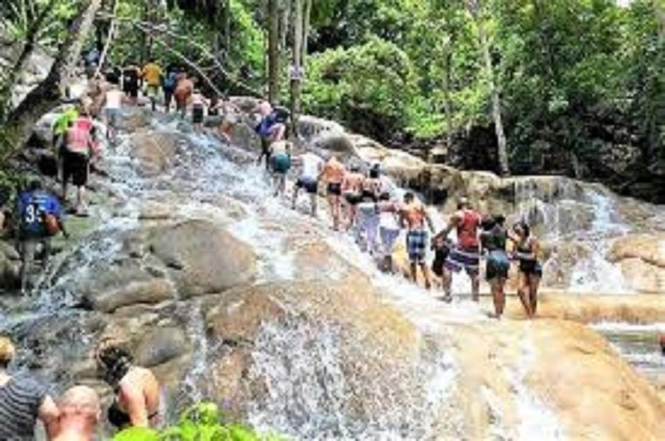 Dunn's River Falls Day Tour | GetYourGuide