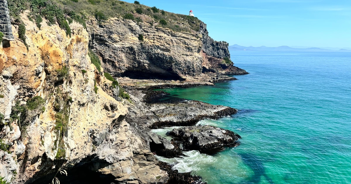 Dunedin City & Otago Peninsula Scenery Day Tour | GetYourGuide