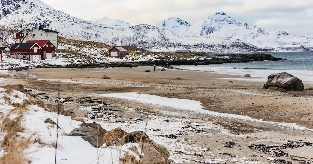 Tromsö: Arktiska landskap och fjordtur med snacks | GetYourGuide