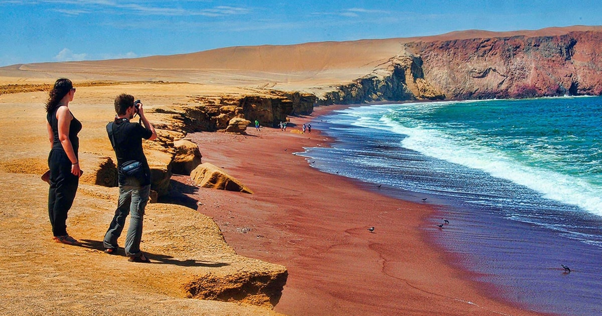 Full Day- Paracas Ballestas Islands | GetYourGuide