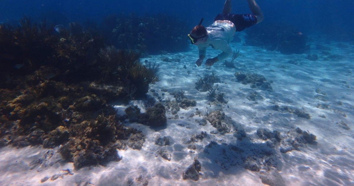 Stingray City and Starfish Point Beach - (2 Stops) | GetYourGuide
