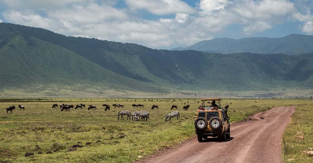 Ngorongoro conservation and crater Day trip. | GetYourGuide