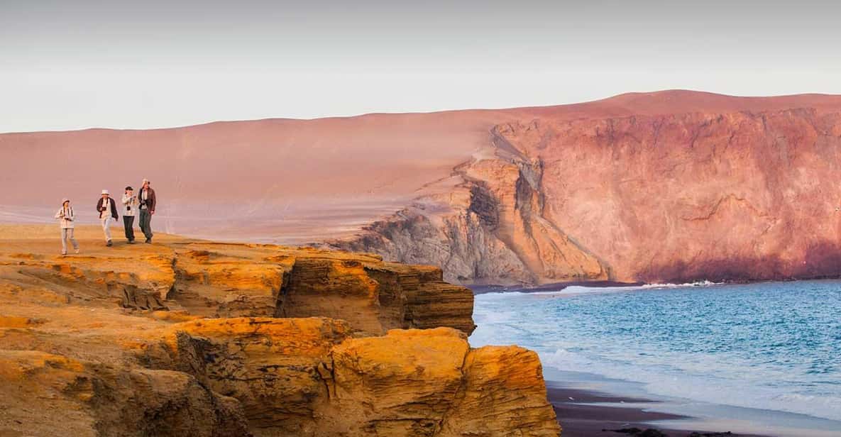 Wonders of Paracas: Ballestas Islands and National Reserve | GetYourGuide