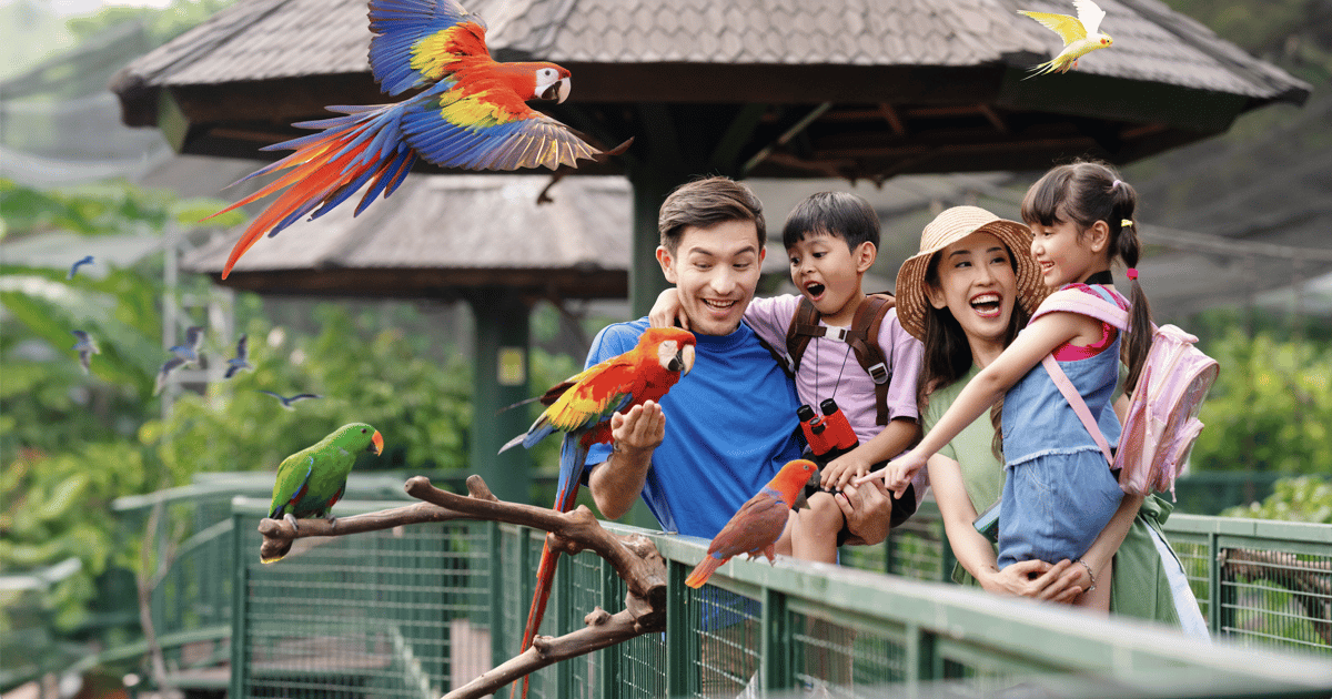 Jakarta: Bird Land Ancol jegyek | GetYourGuide