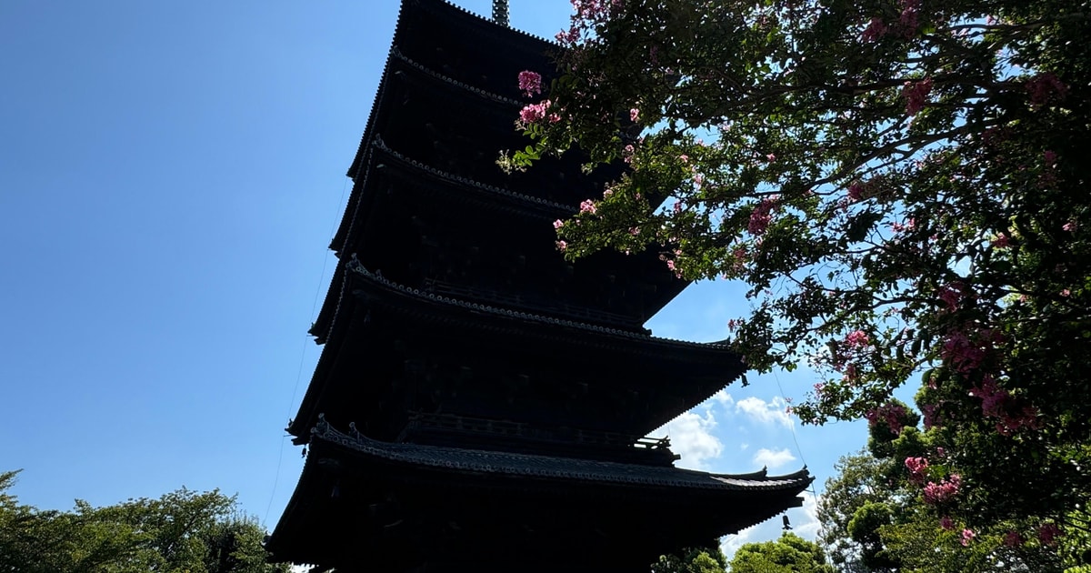 Kioto: Visita guiada al Templo Toji con Pagoda de 5 pisos | GetYourGuide