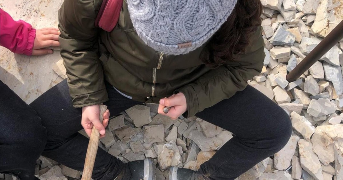Fossil Hunting & Digging, From Beirut Lebanon | GetYourGuide